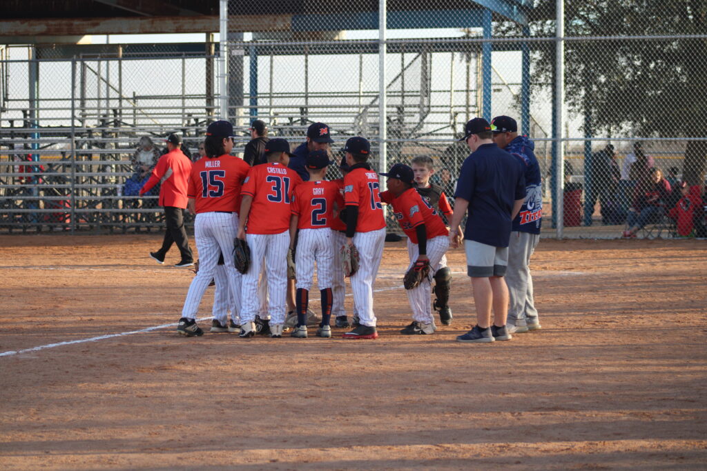 Mission, Vision and Values – Midland Titans Baseball Club